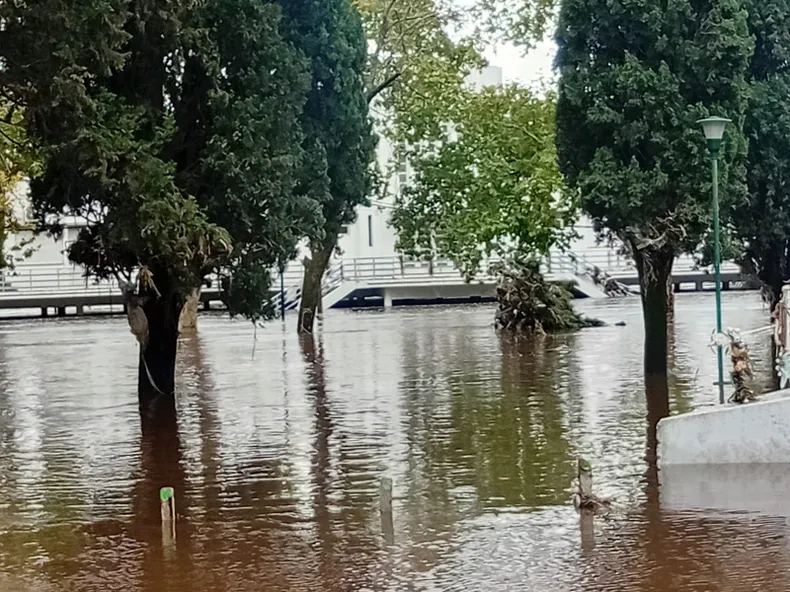 El agua retrocede, pero el drama continúa: Salto y Arrecifes comienzan ...